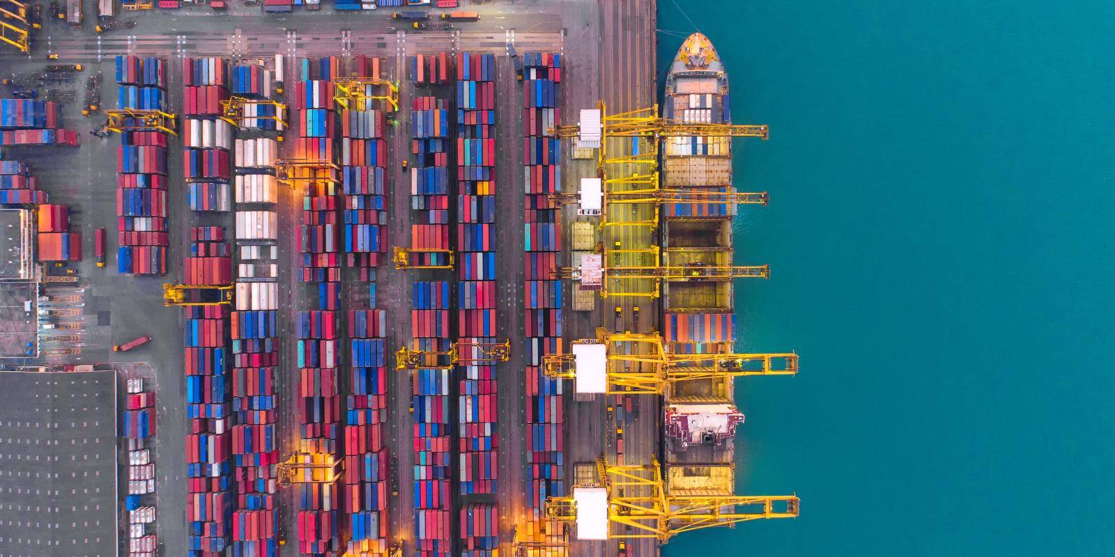 Embrace the Future of Global Trade with Stankevicius International GO ...